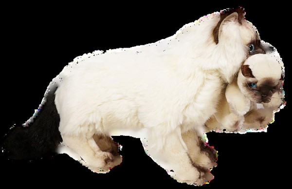 Piutre Colourpoint Katze m. Jungetier stehend Plüsh 2359 | Shop für ...